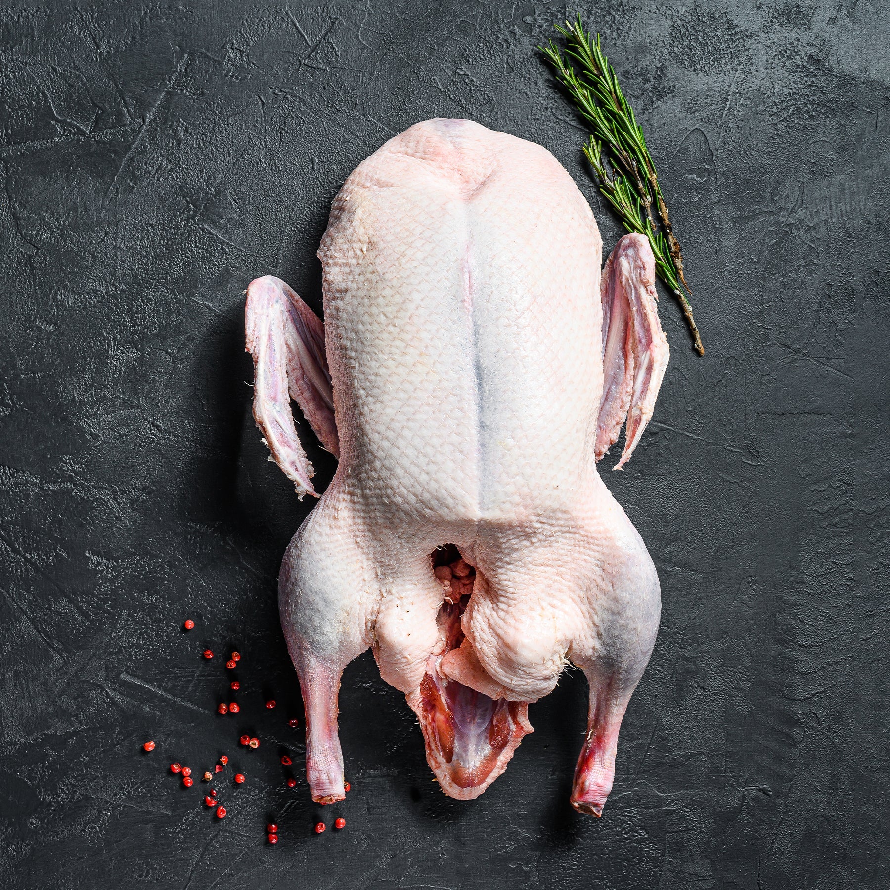 Frozen Goose For Sale